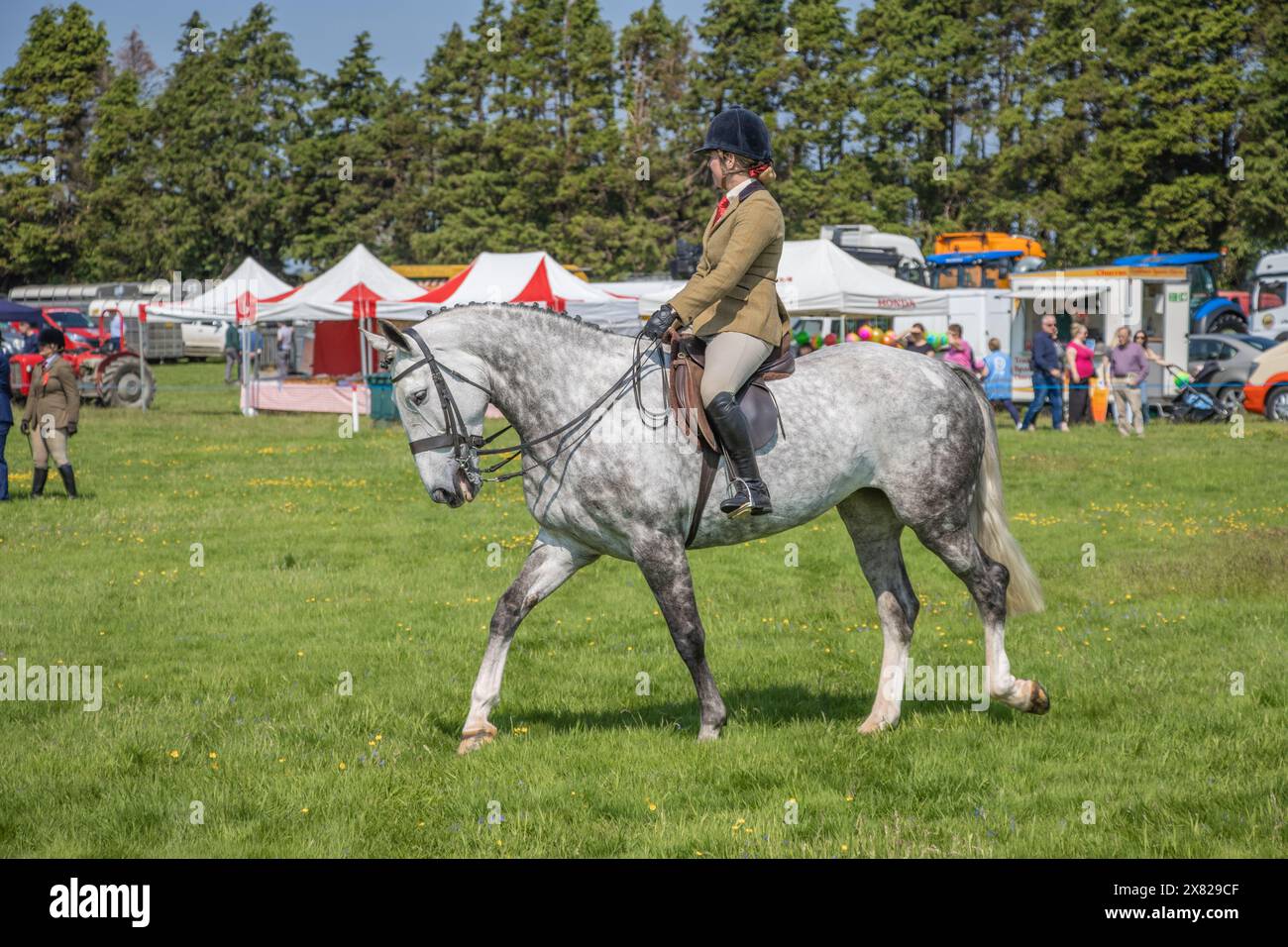 Bandon Agricultural Show, Castlebernard, Bandon, May 2024 Stock Photo ...