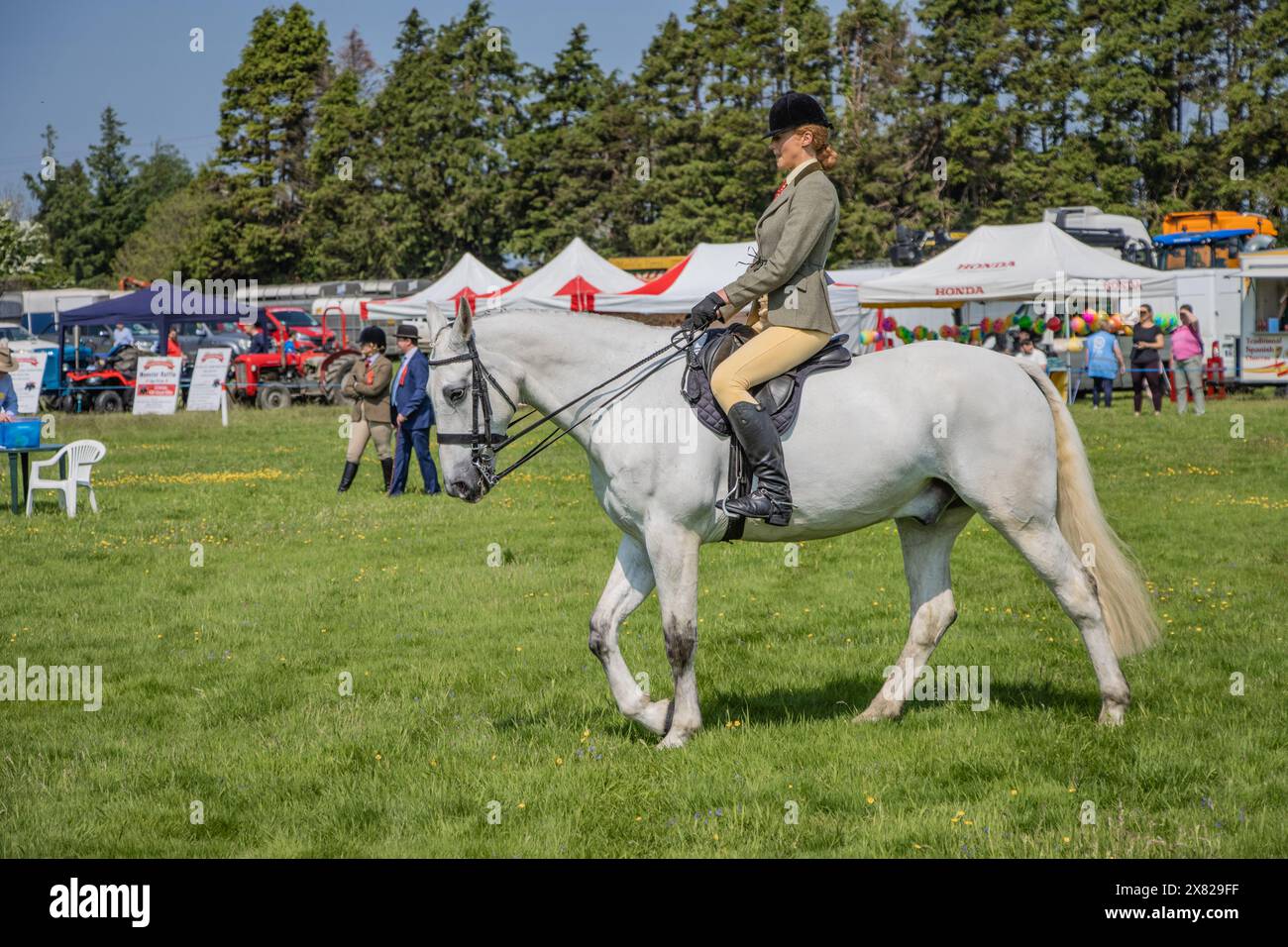 Bandon show hi-res stock photography and images - Alamy