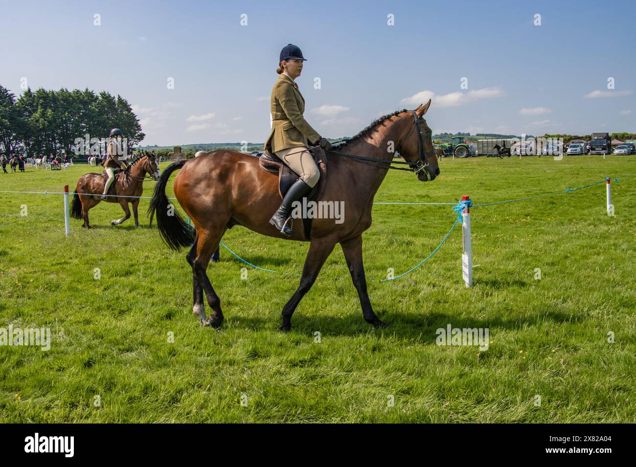 Bandon show hi-res stock photography and images - Alamy