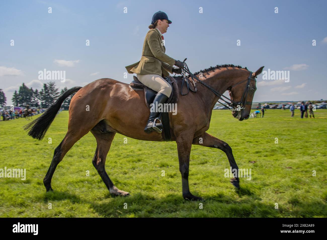 Bandon Agricultural Show, Castlebernard, Bandon, May 2024 Stock Photo ...
