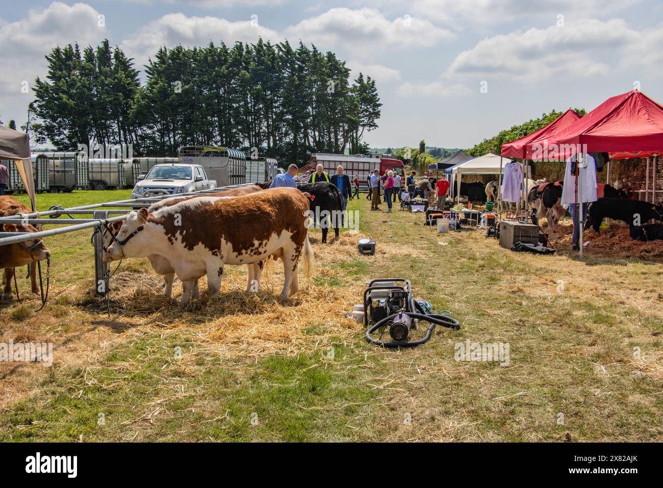 Bandon Agricultural Show, Castlebernard, Bandon, May 2024 Stock Photo ...