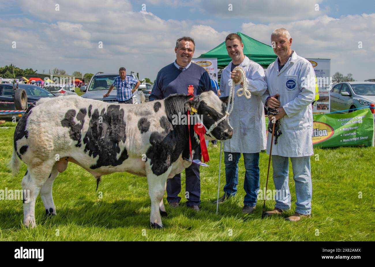 Bandon show hi-res stock photography and images - Alamy