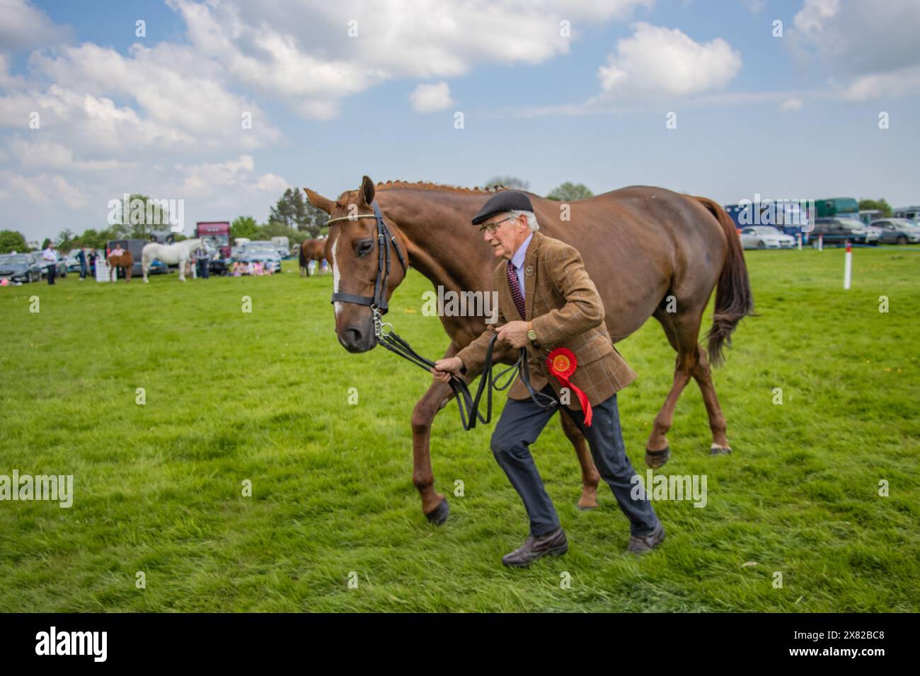 Bandon show hi-res stock photography and images - Alamy