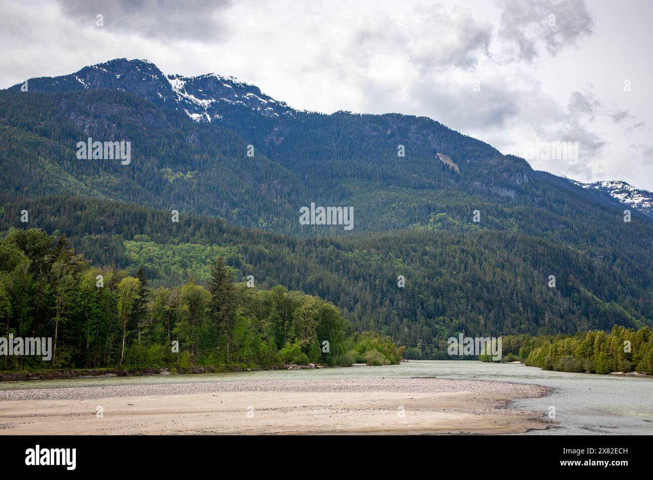 Brackendale Eagle Run is one of the best eagle viewing places in the ...