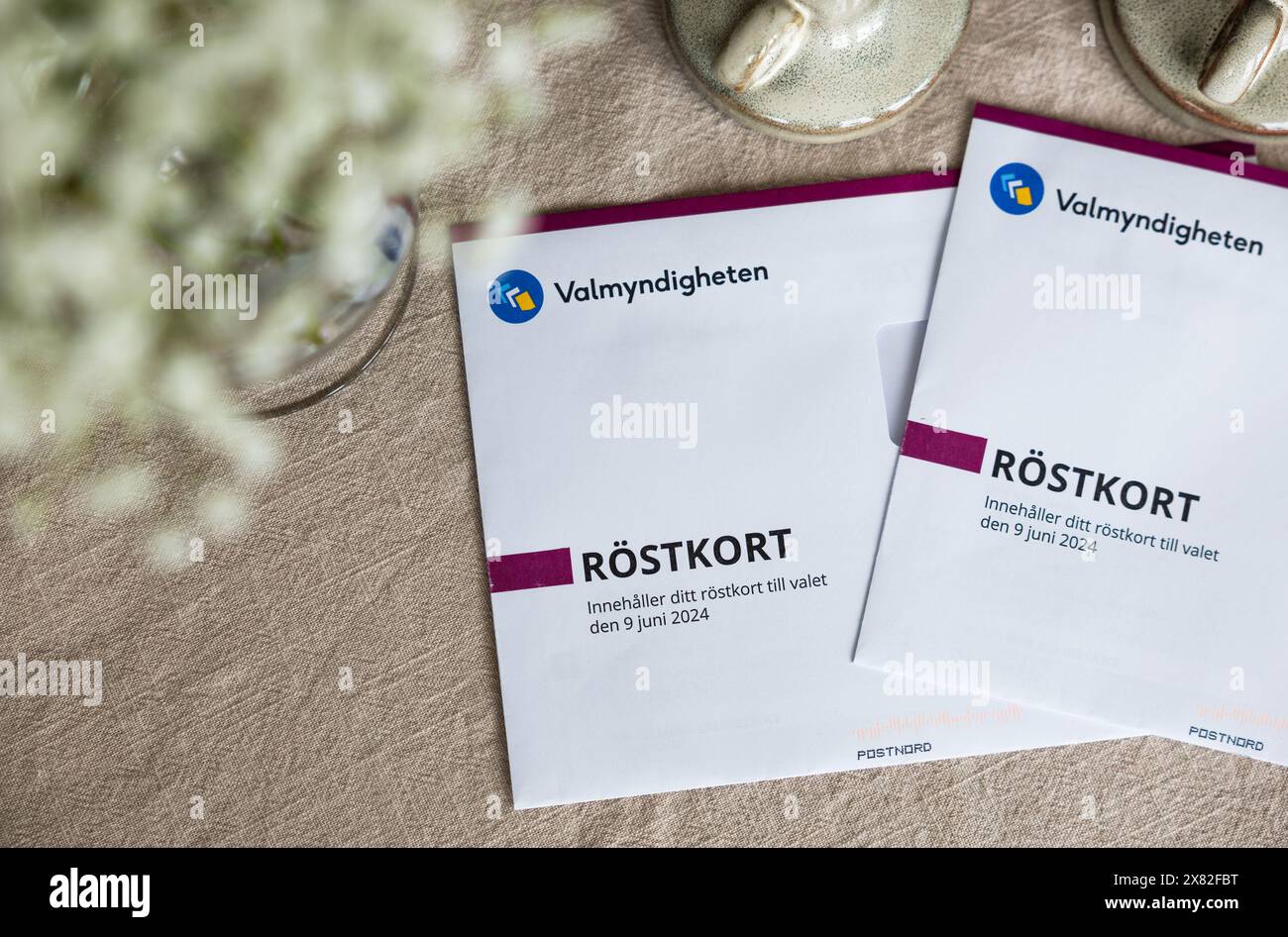 Voting cards regarding the 2024 European Parliament elections Stock ...