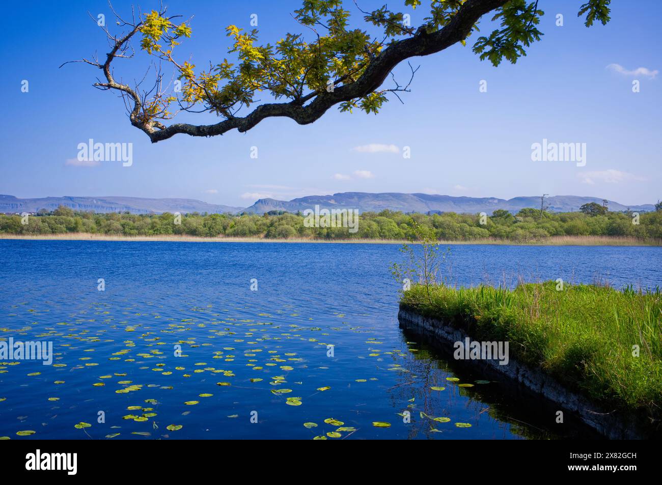River Garvoge at Sligo, Ireland Stock Photo - Alamy