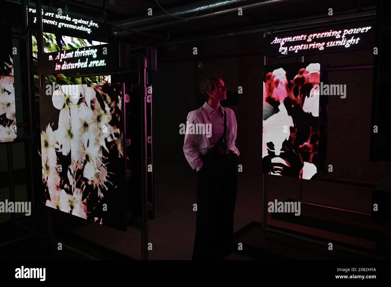 The exhibition features 18 audio-visual installations and sonic ...