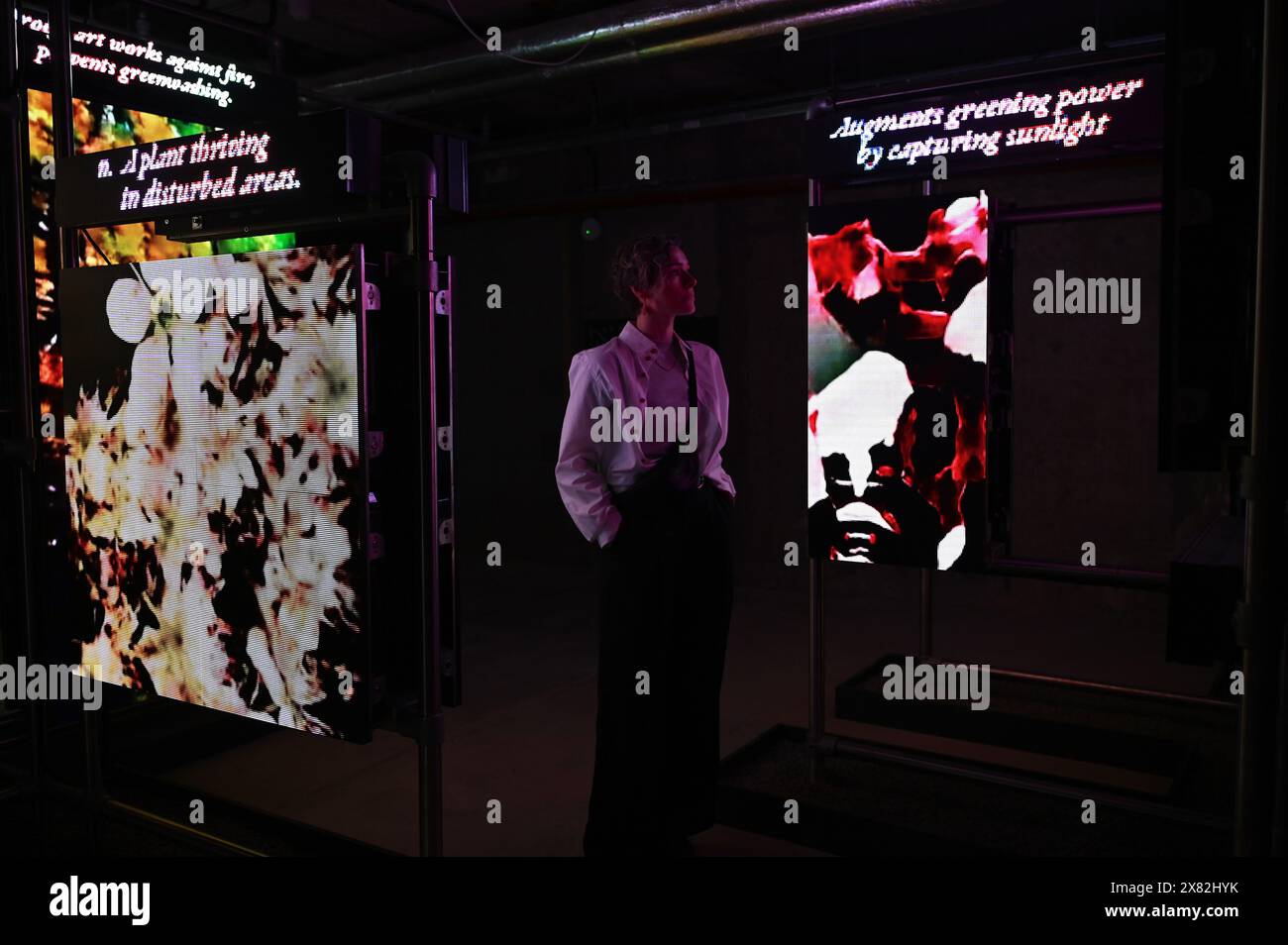 The exhibition features 18 audio-visual installations and sonic ...