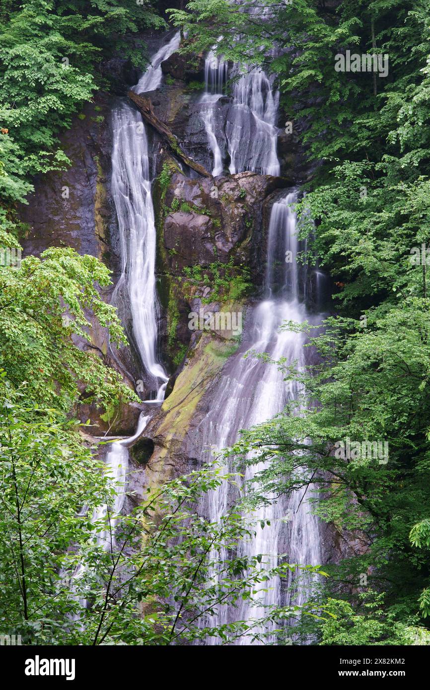 Guzeldere Waterfall - Duzce - TURKEY Stock Photo - Alamy