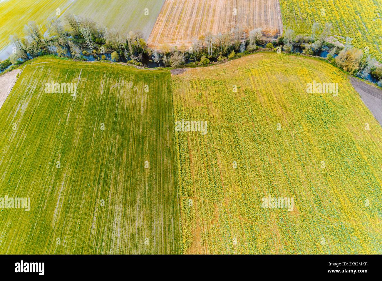 Overhead river scene between trees hi-res stock photography and images ...