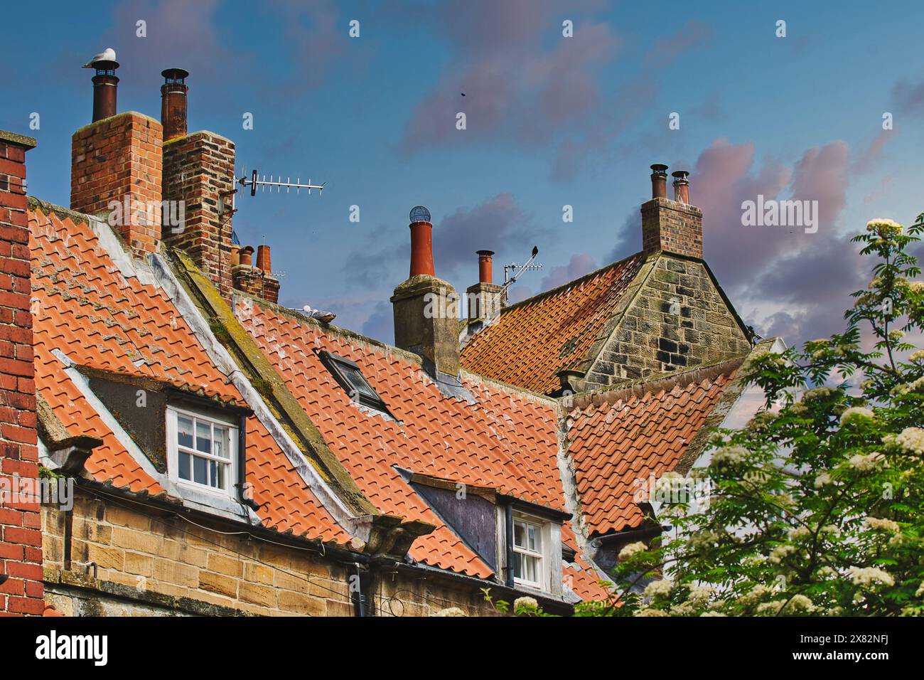 A cluster of traditional European houses with red-tiled roofs and ...