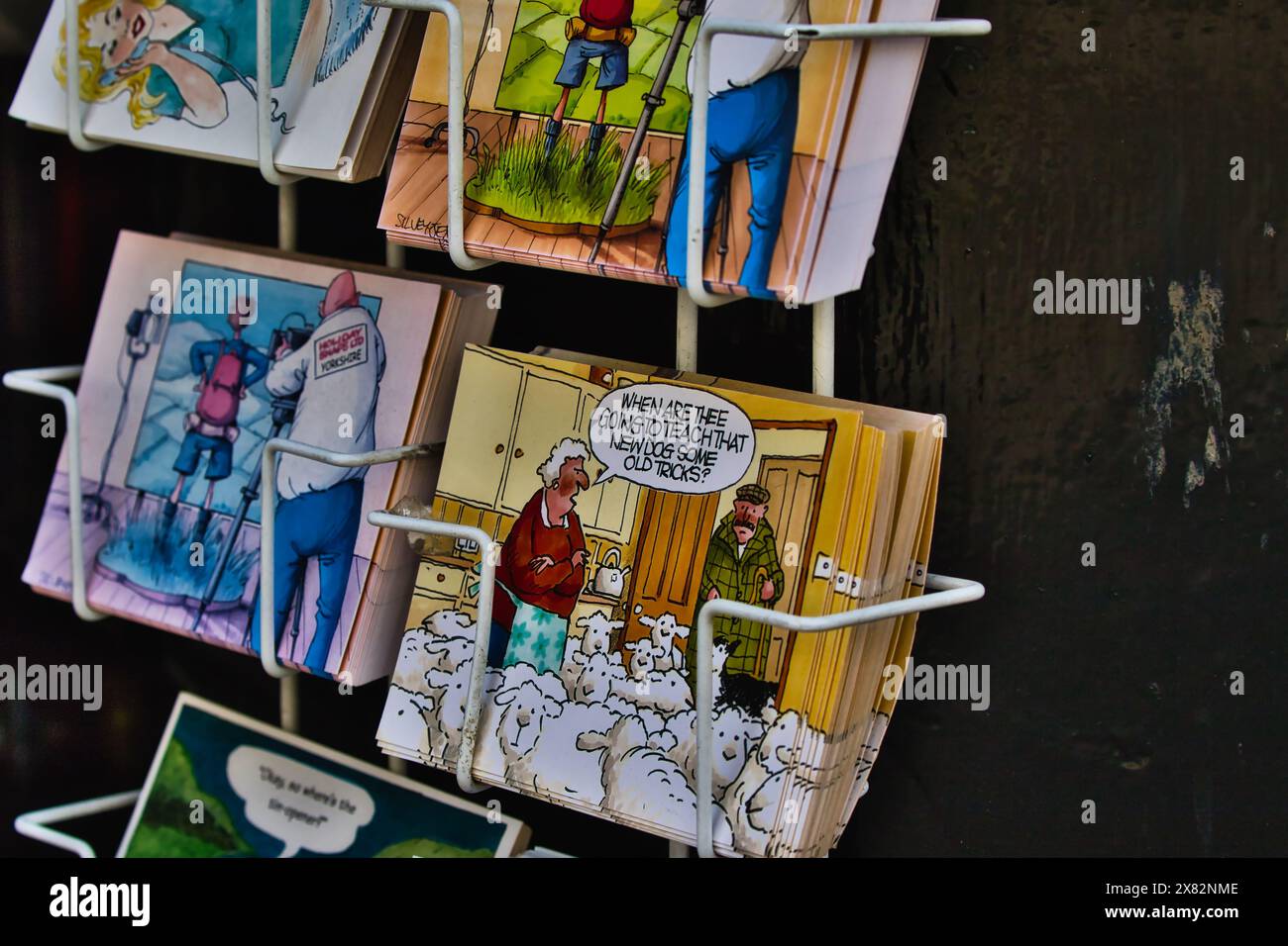 Various close up illustrations hi-res stock photography and images - Alamy