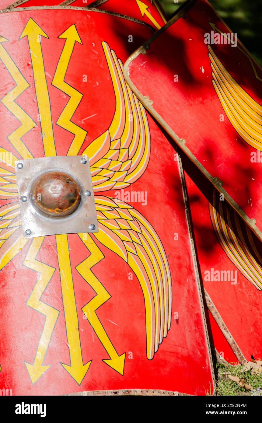 replicas of roman legionary shields in a historical recreation event ...