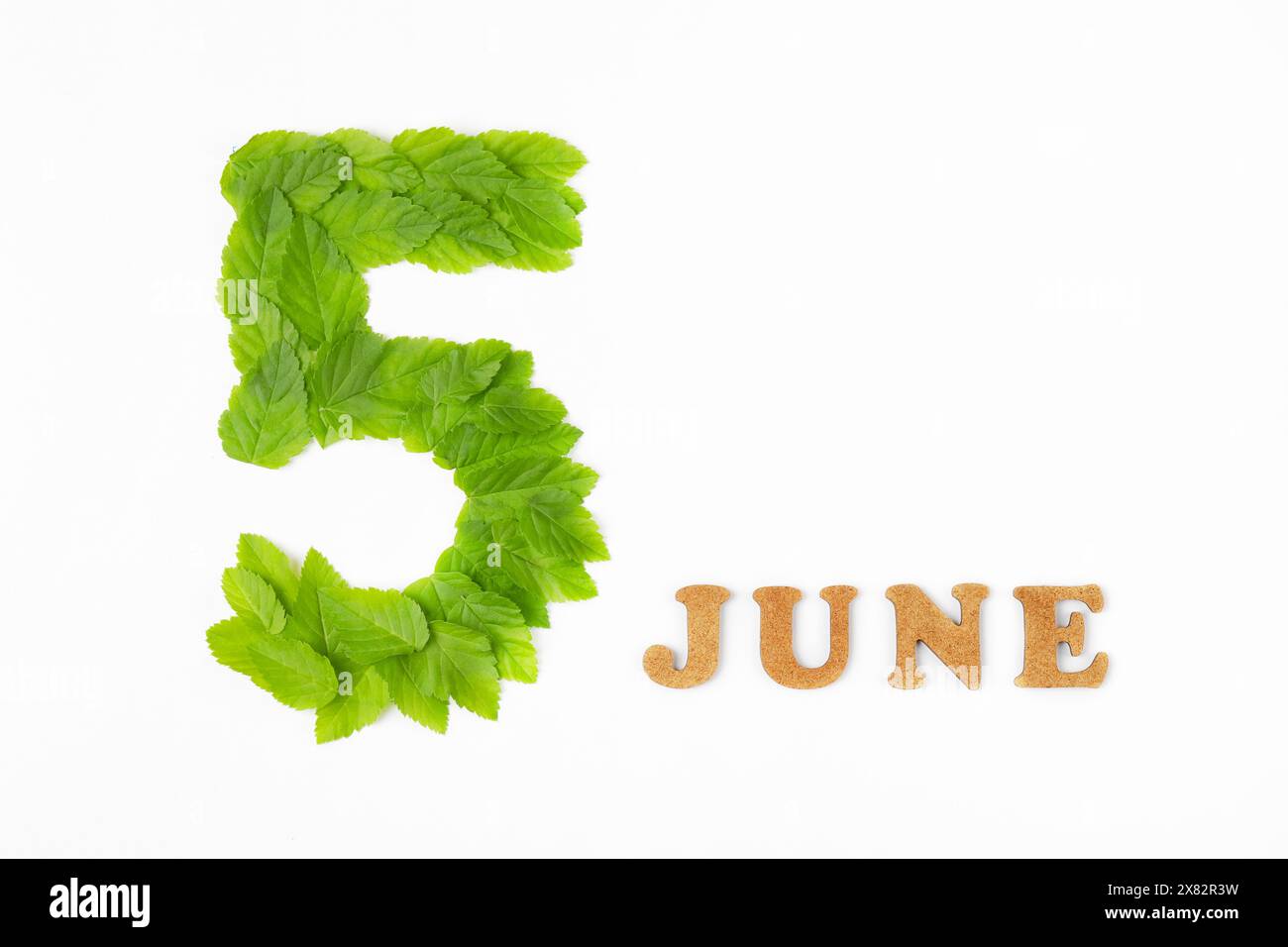 Number 5 of green leaves on gray background. Happy Environment day, 05 ...