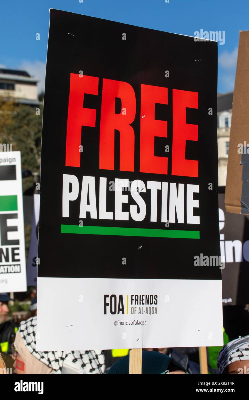 London, UK - November 11th 2023: Free Palestine sign held by a ...