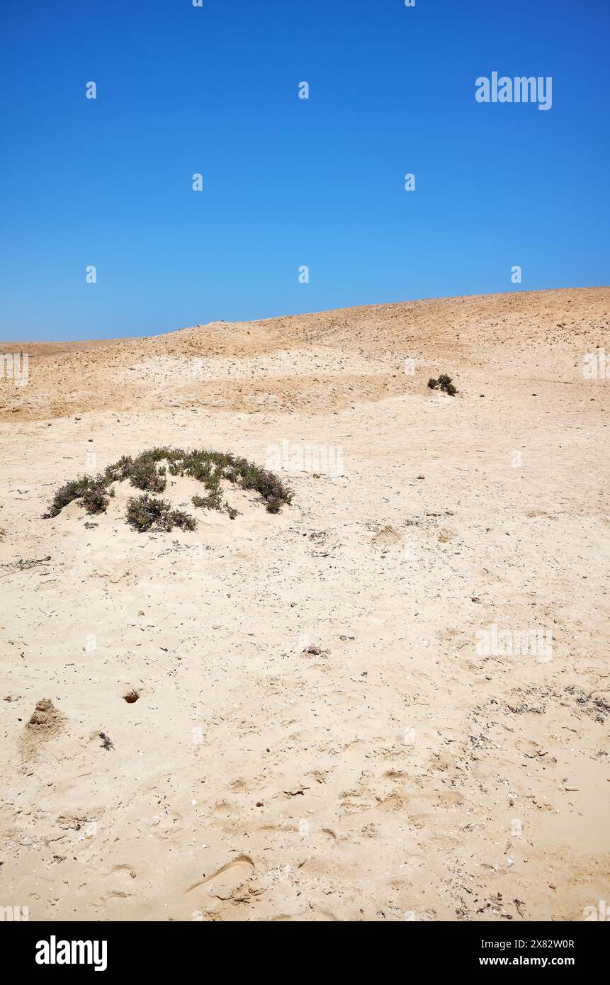 Egypt desert landscape with a blue sky Stock Photo - Alamy
