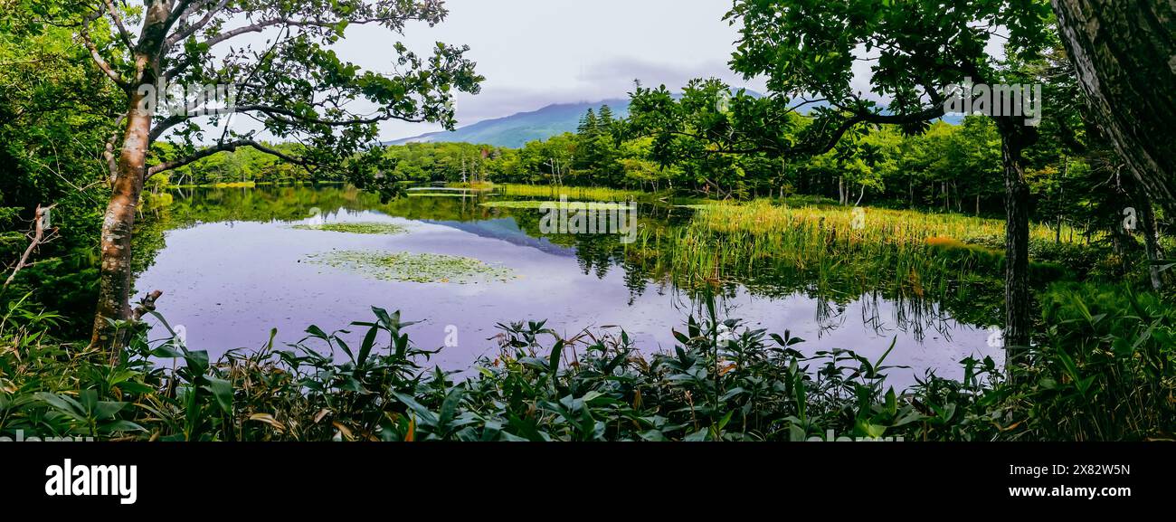 Panoramic view in late summer over the Yonko lake of Shiretoko Goko ...