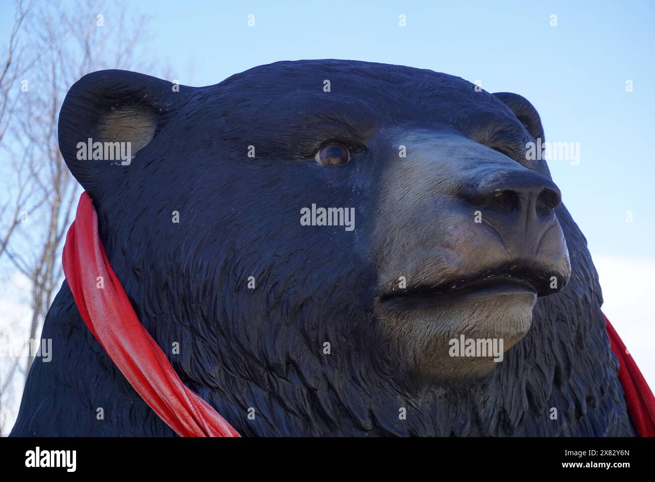 Sculpture of a bear, North Conway, New Hampshire Stock Photo - Alamy