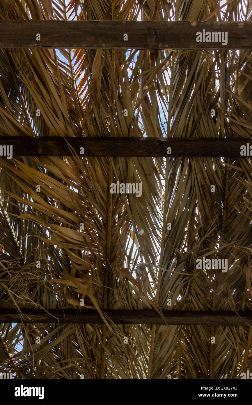 The dry leaf of the palm tree pattern background used as a roof Stock ...