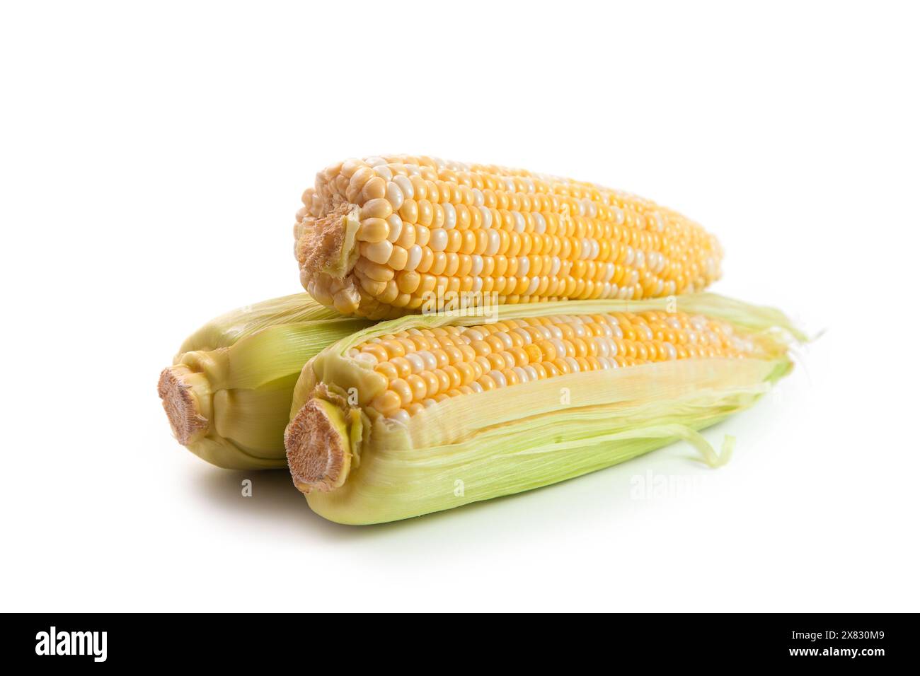 Several ears of ripe corn with soft shadow isolated on white background ...