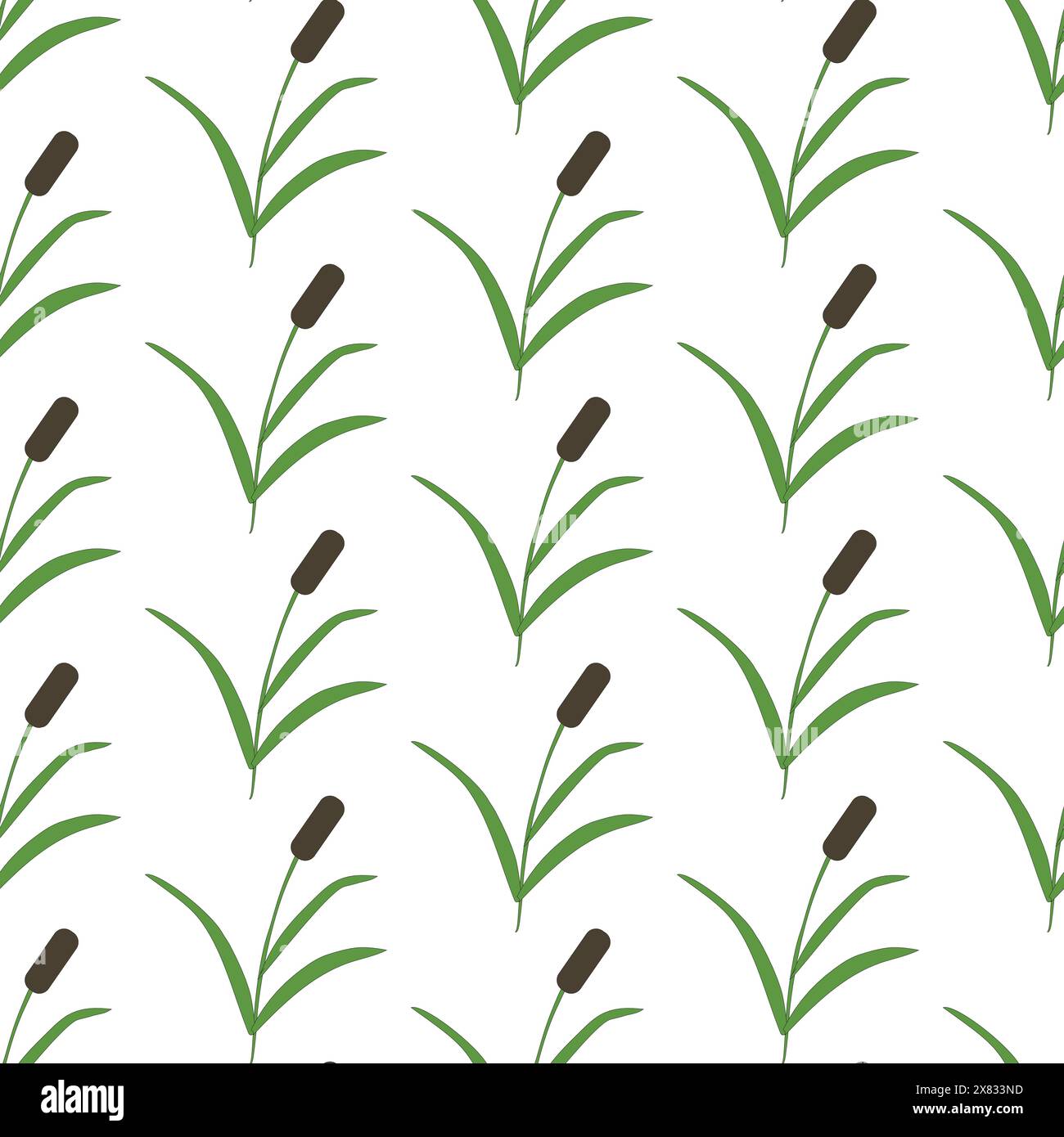Swamp reeds, simple grass. Seamless pattern. Vector illustration Stock ...
