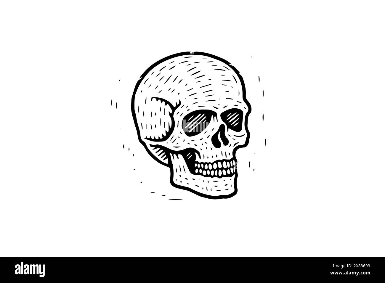 Vintage Human Skull Vector: Engraved Anatomy Illustration. Logo Simple ...