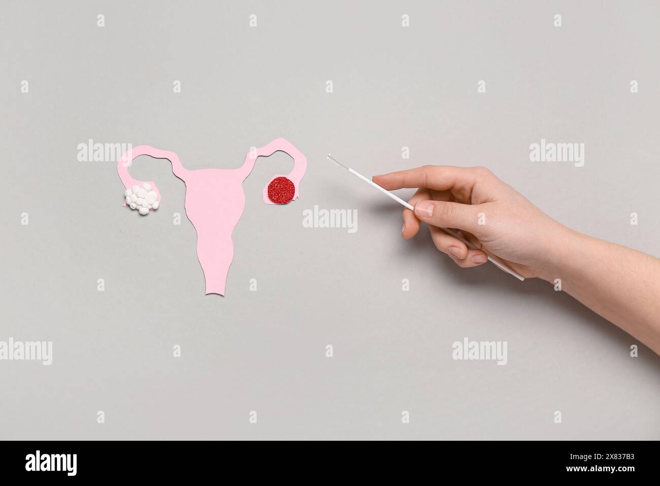 Female hand with paper uterus and pap smear test brush on grey ...