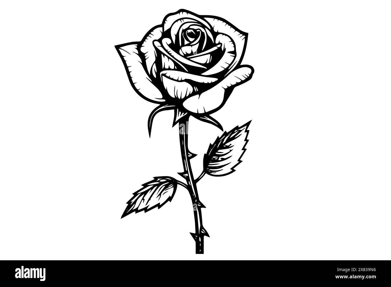 Rose flower hand drawn ink sketch. Engraving style vector illustration Stock Vector Image & Art ...