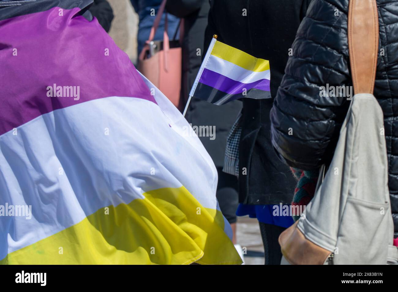 St. Paul, Minnesota. State capitol. Transgender Day of Visibility Rally ...