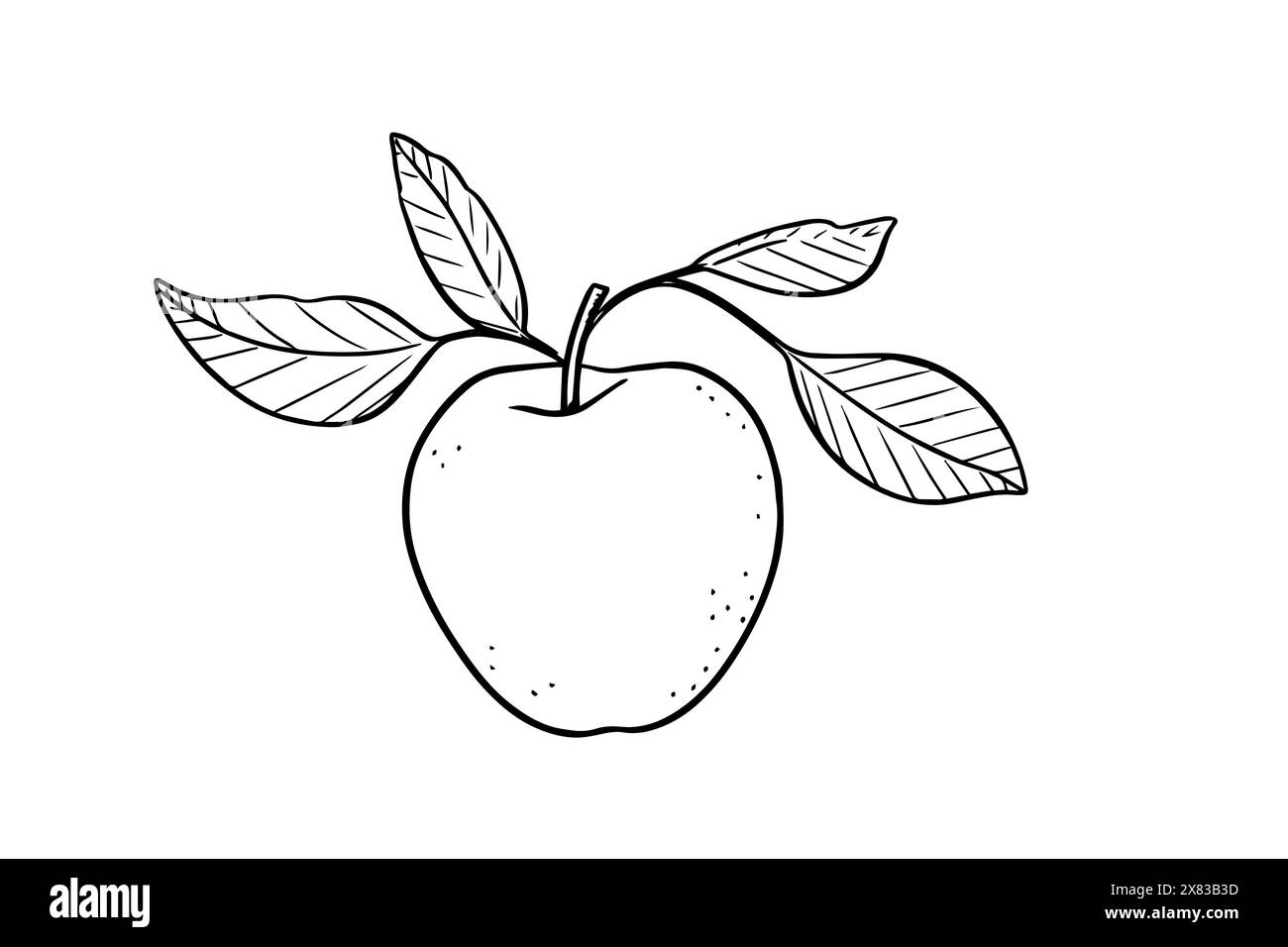 Retro apple engraved, great design for any purposes. Antique ...