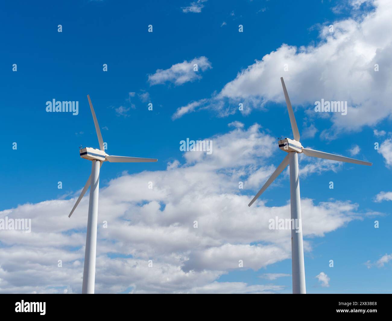 Wind farm with turbine fans as a renewable energy alternative Stock ...