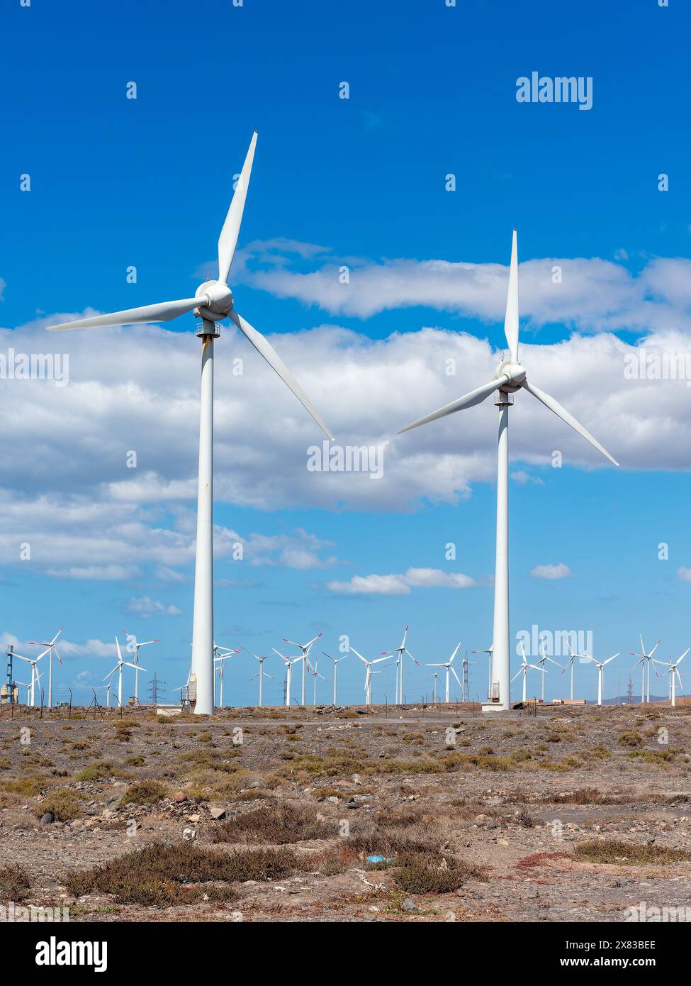 Wind farm with turbine fans as a renewable energy alternative Stock ...