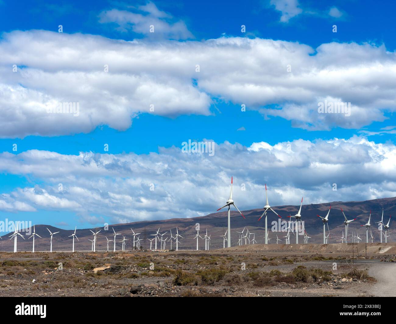 Wind farm with turbine fans as a renewable energy alternative Stock ...