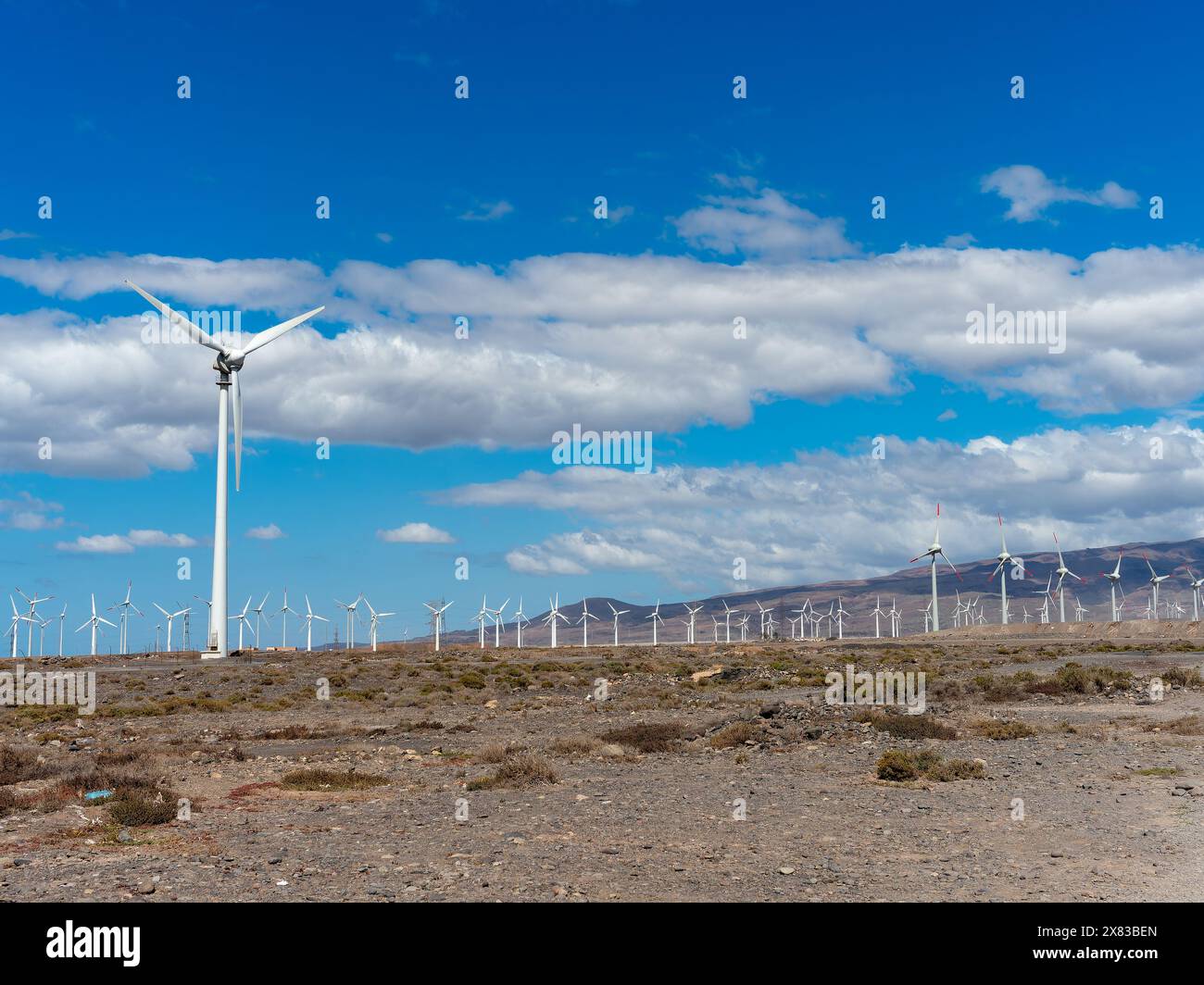 Wind farm with turbine fans as a renewable energy alternative Stock ...