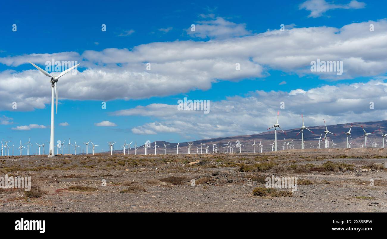 Wind farm with turbine fans as a renewable energy alternative Stock ...