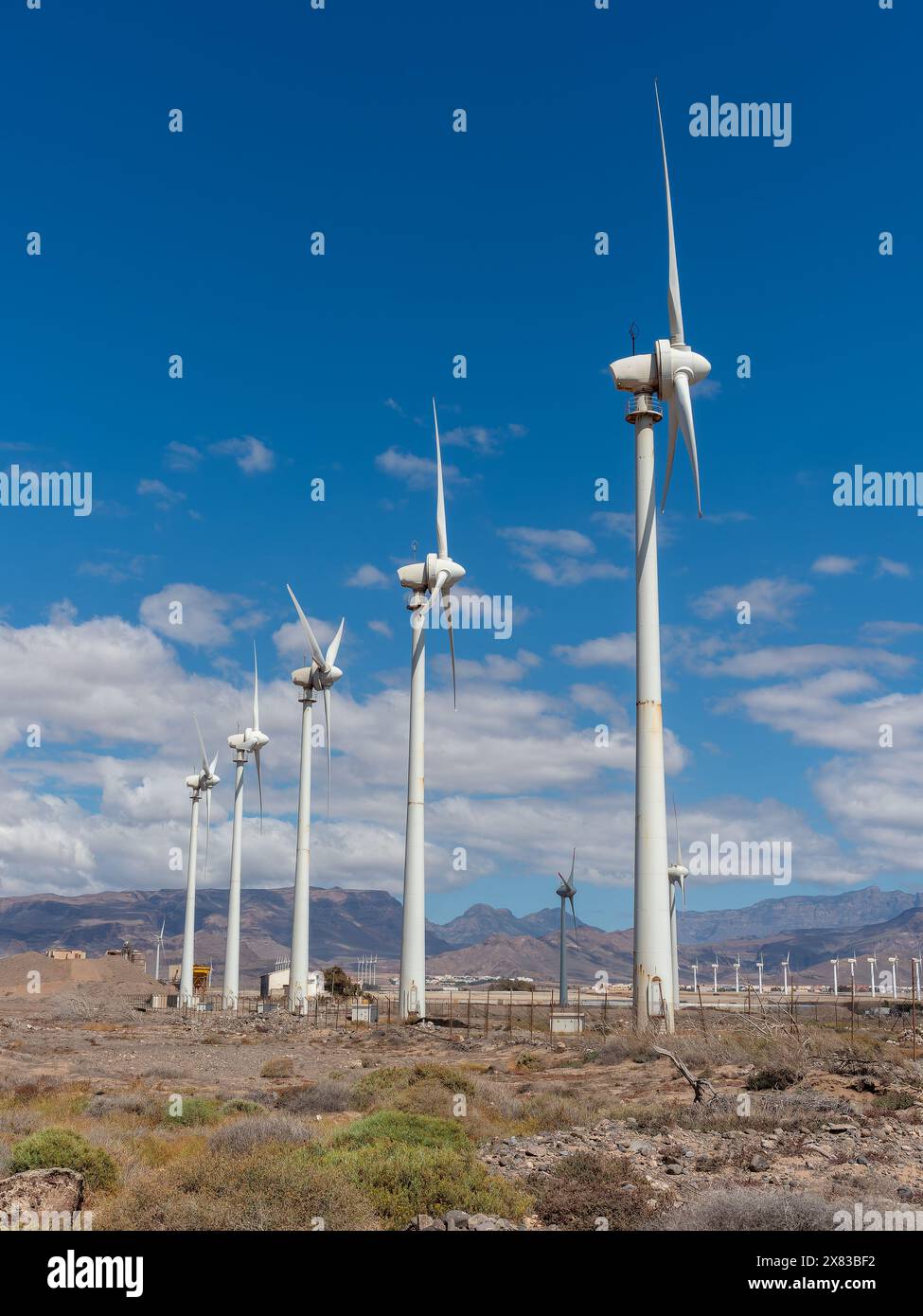 Wind farm with turbine fans as a renewable energy alternative Stock ...