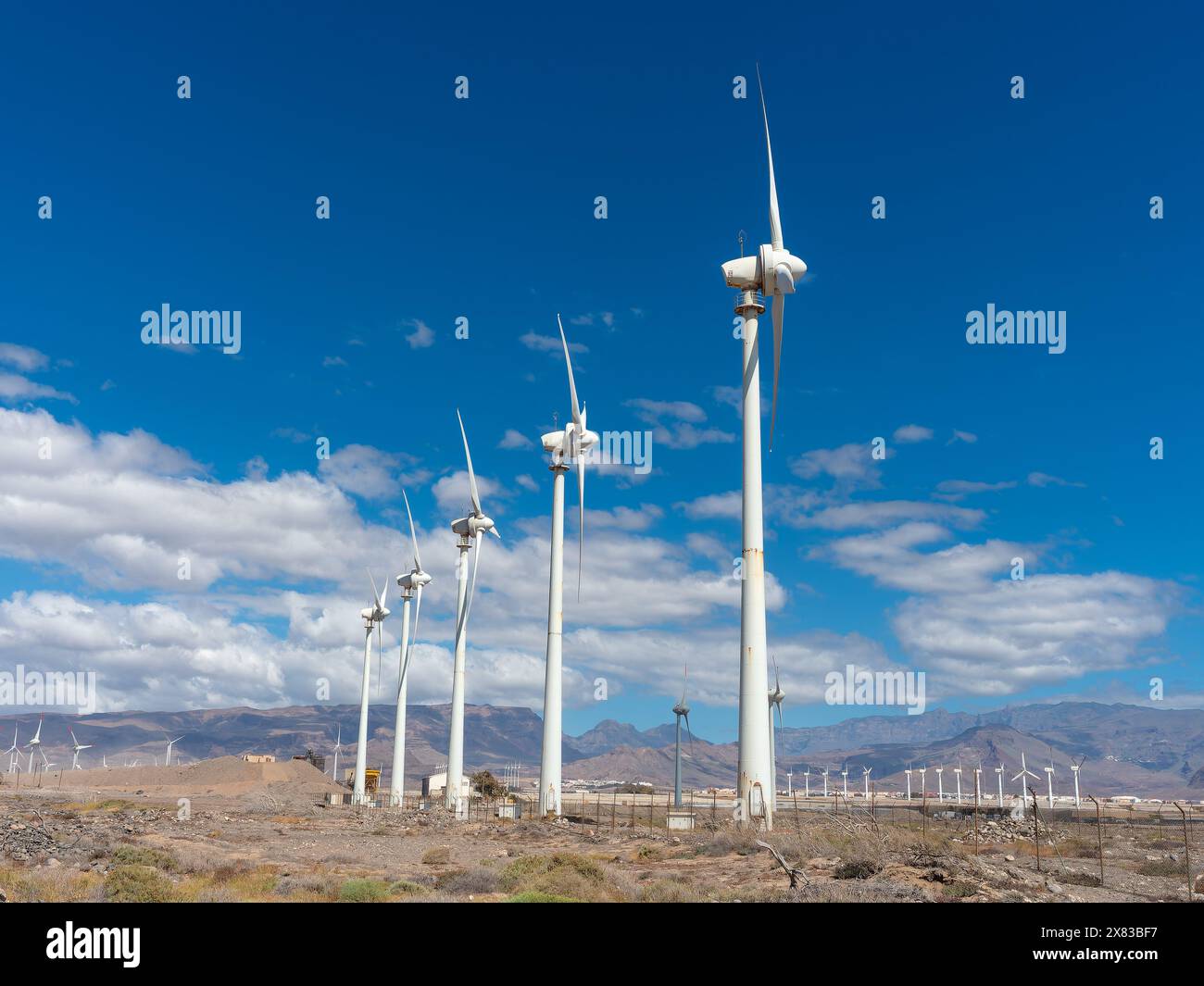Wind farm with turbine fans as a renewable energy alternative Stock ...