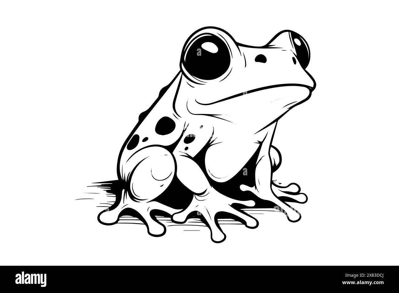 Cute frog or toad, animal art. Vintage vector drawing, etching ...