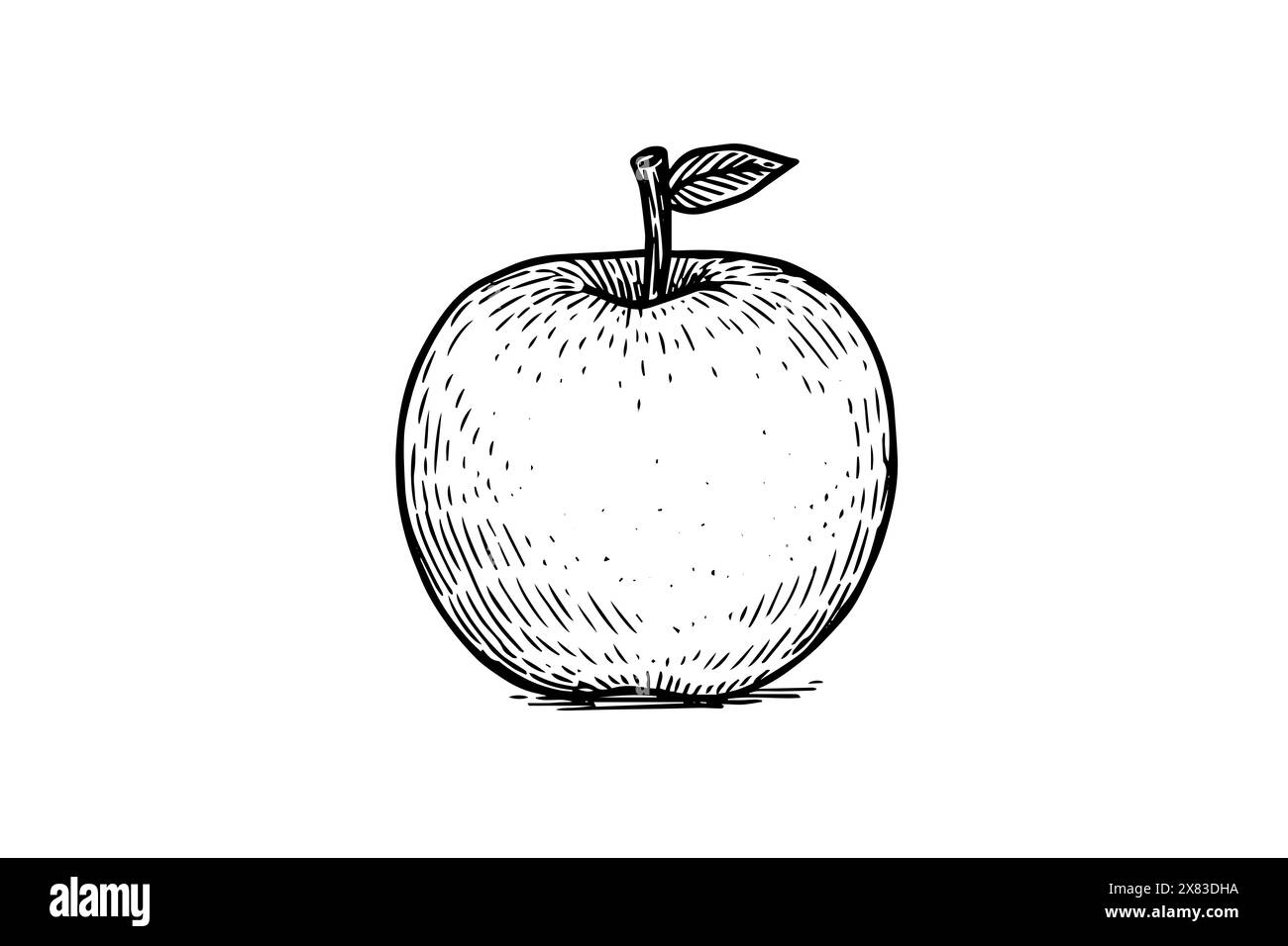 Retro apple engraved, great design for any purposes. Antique ...