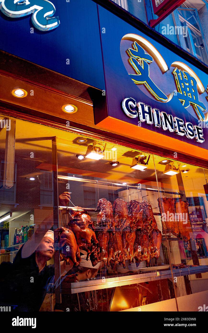 PEKING DUCK RESTAURANT LONDON hanging in window of Chinese restaurant ...