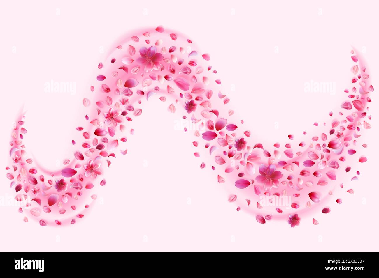 Pink sakura petals and flowers trail. Abstract cherry, rose or peach ...