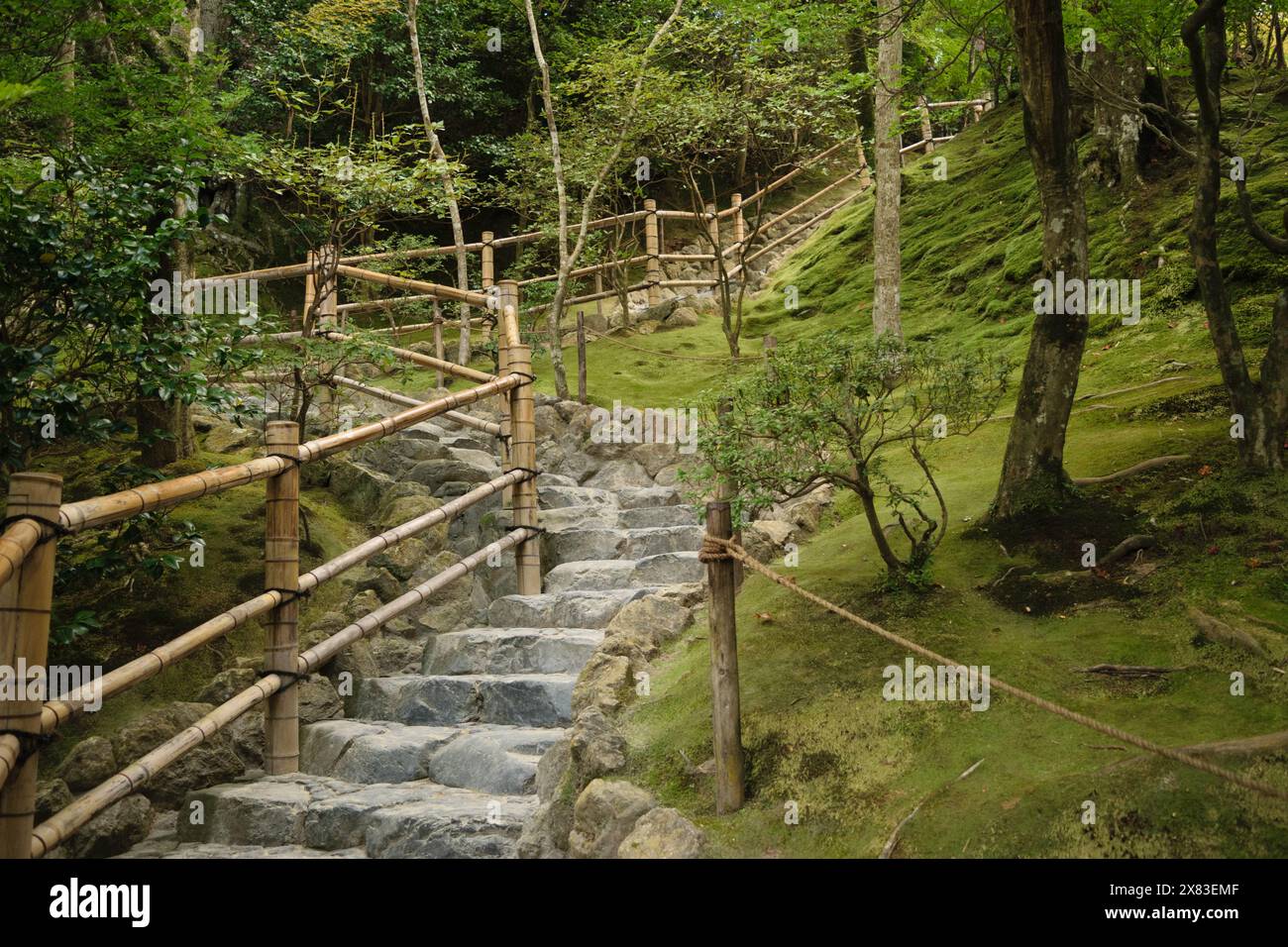 A stone pathway with wooden railings winding through a lush, green ...