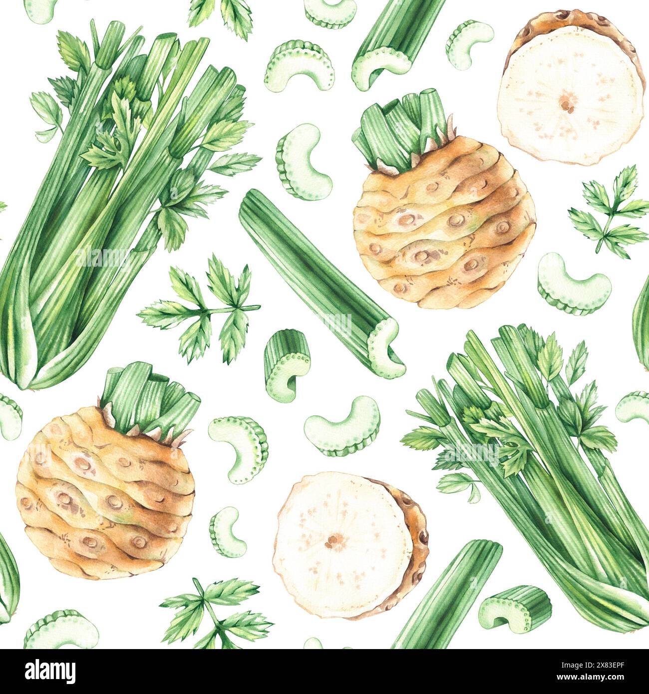 Watercolor celery pattern. Hand drawn root, stems, and leaves of the ...