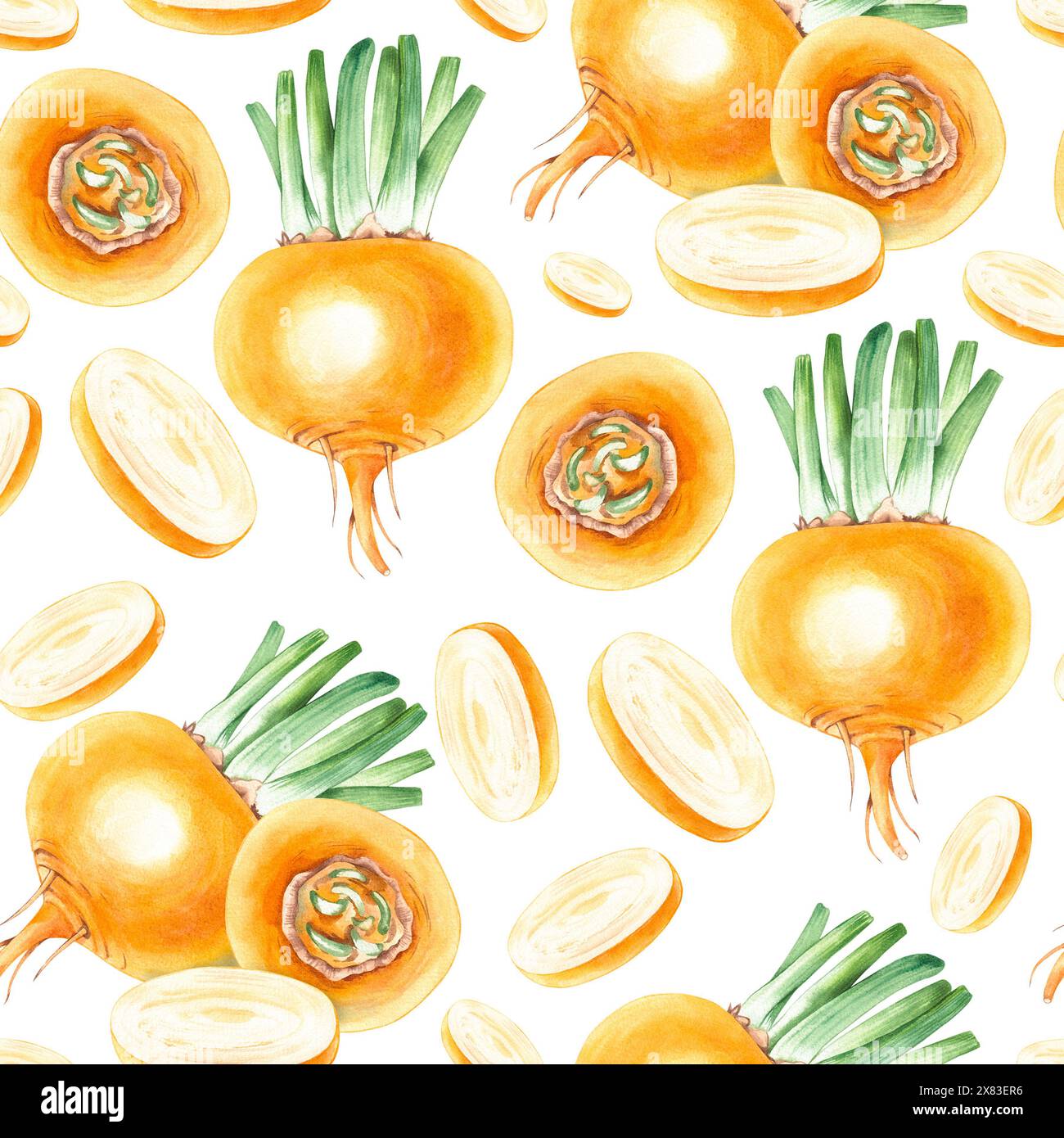 Watercolor yellow turnip pattern. Hand drawn seamless pattern with ...
