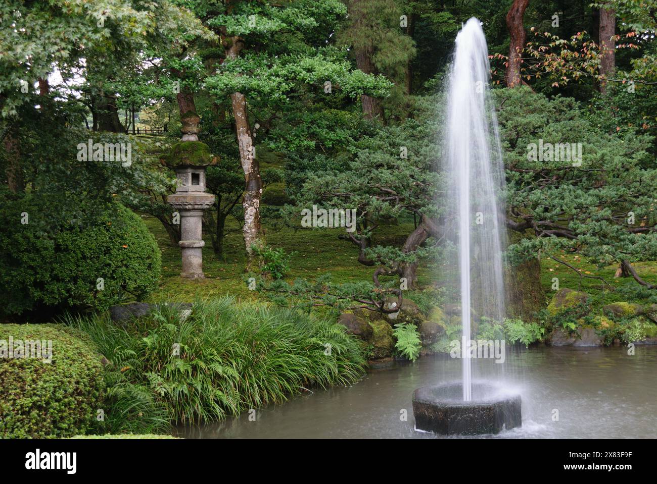 A serene Japanese garden featuring a stone lantern, lush greenery, and ...