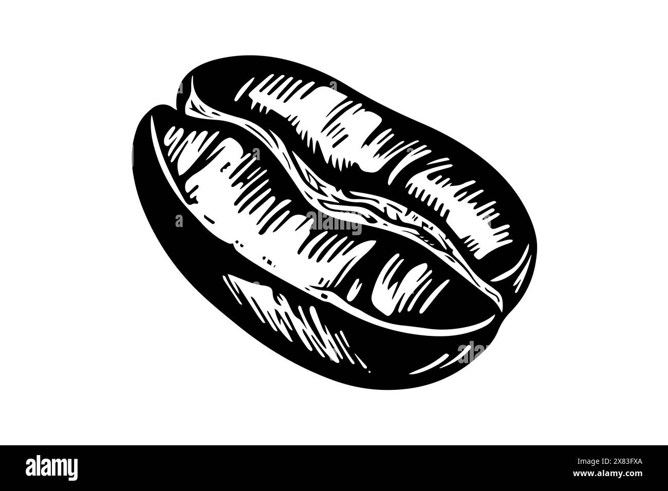 Vintage Hand-drawn Coffee Bean Vector Sketch: A Rich Cafe Icon Logo ...