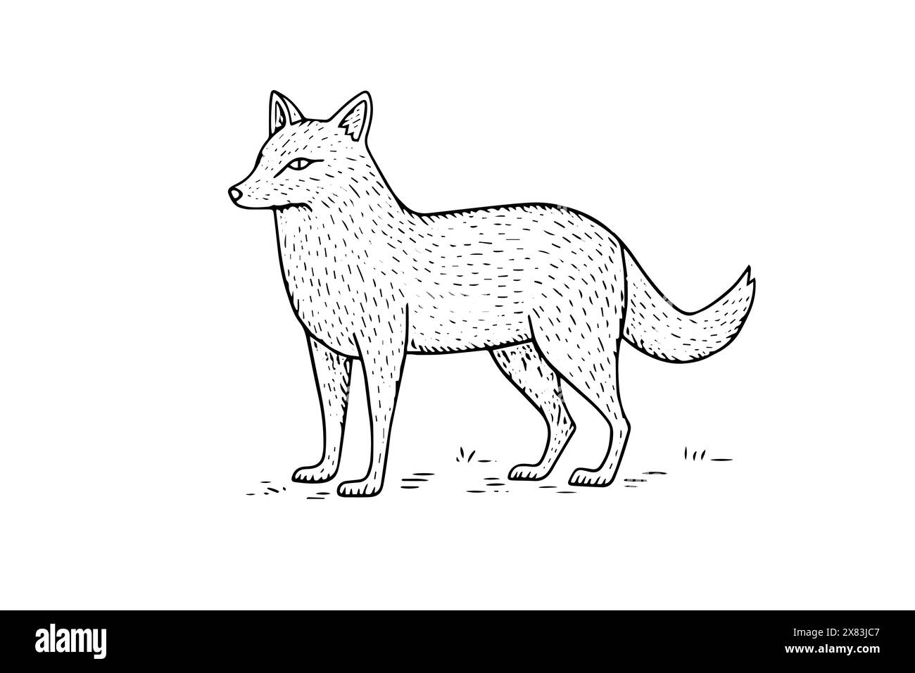 Vintage Fox Sketch: Hand-Drawn Vector Illustration of Forest Animal ...