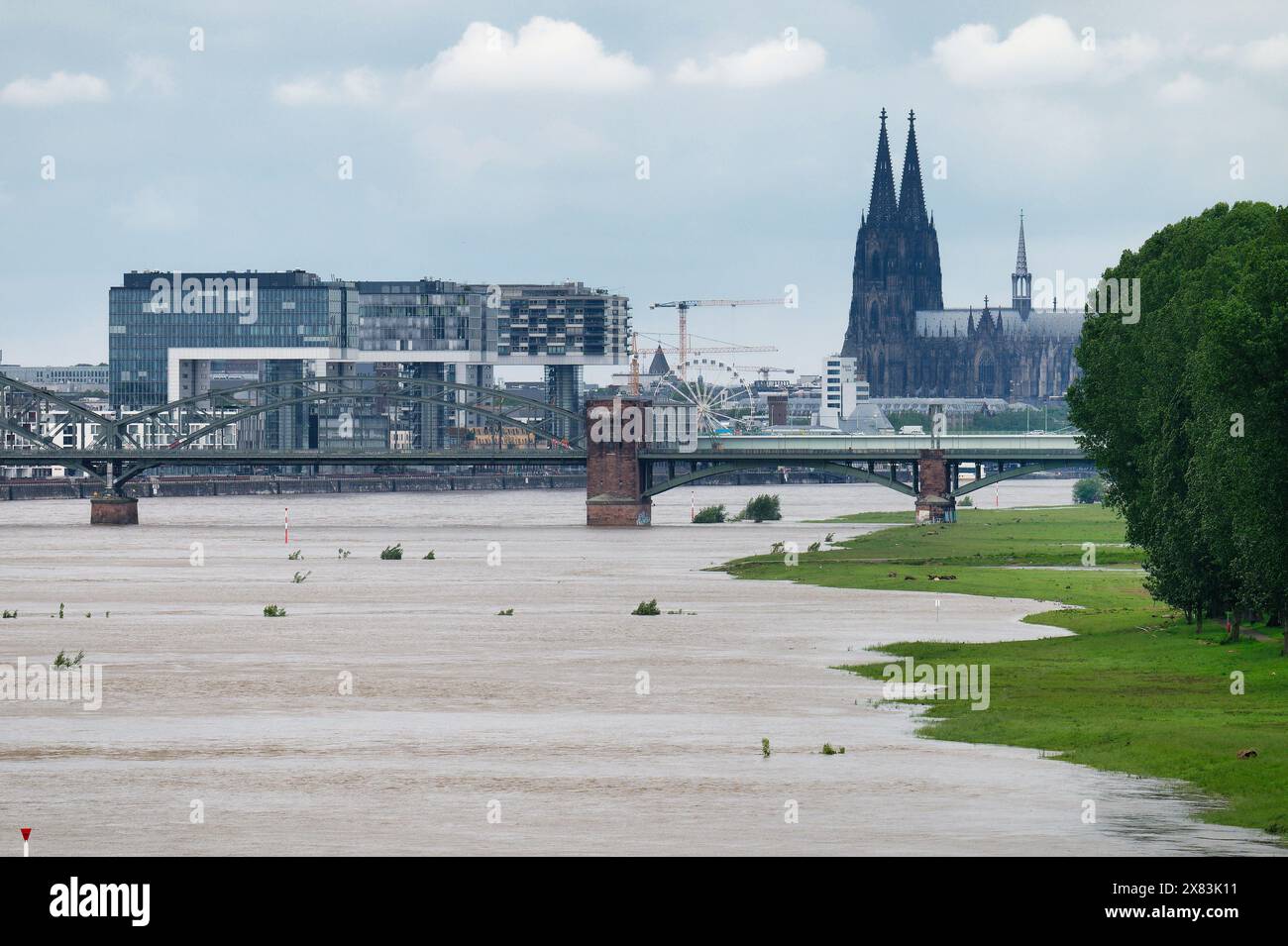View of the Cologne panorama from the flooded Poller Wiesen near south ...