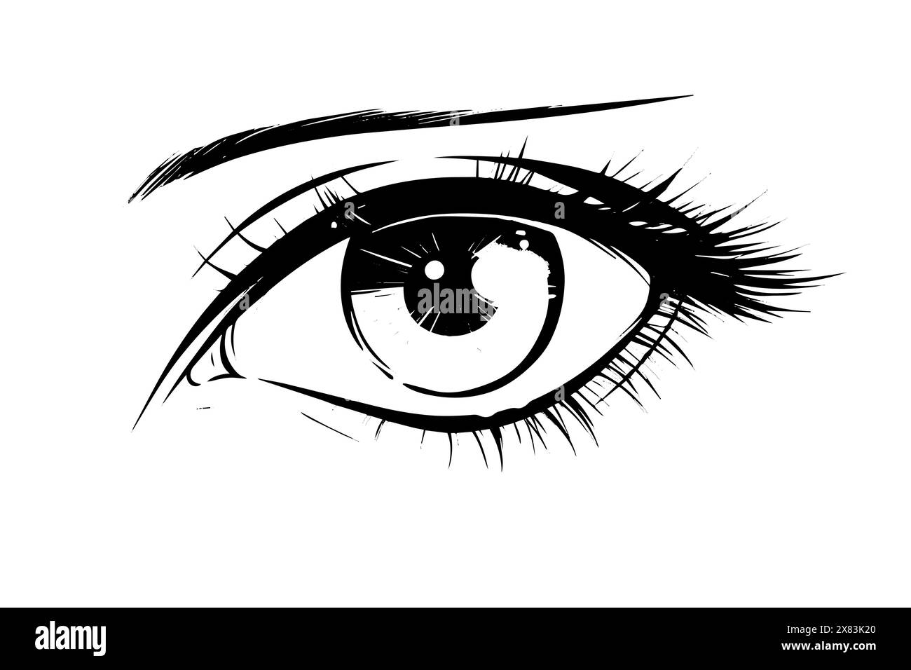 Medical illustration eye antique hi-res stock photography and images ...