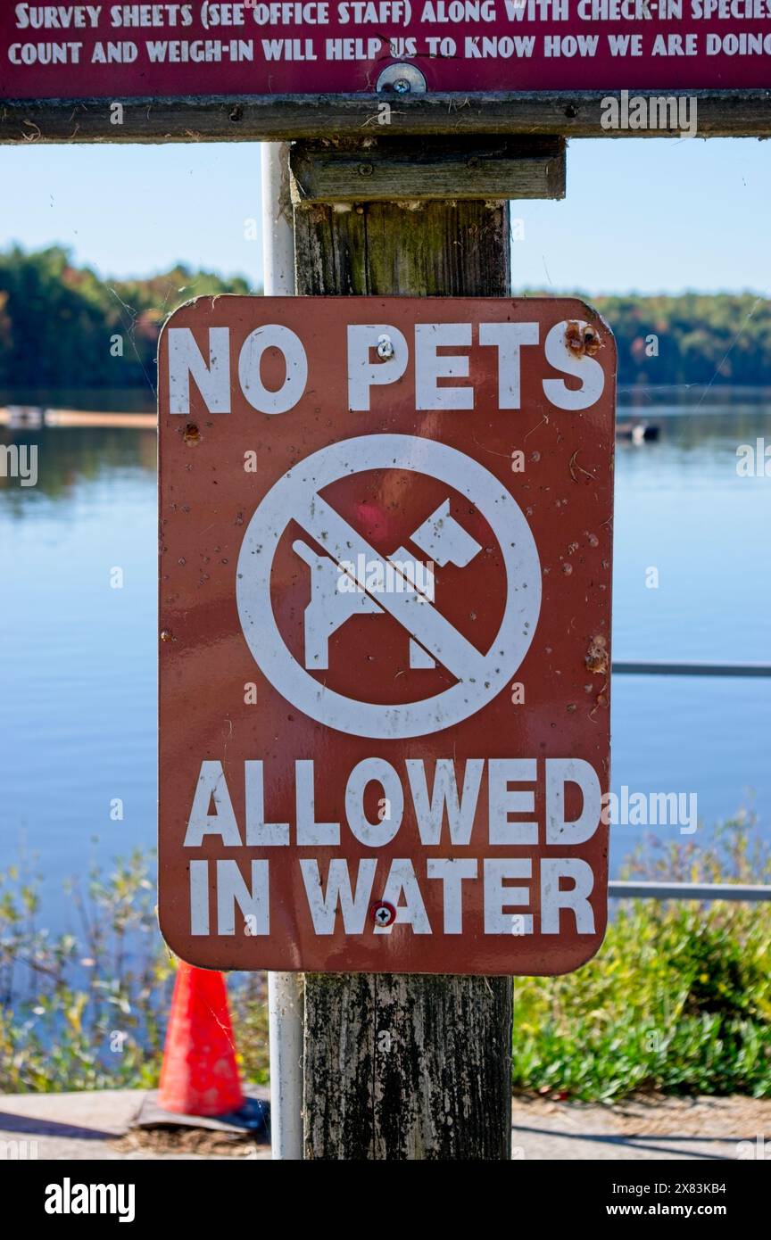 No pets allowed in water sign at lake side Stock Photo - Alamy